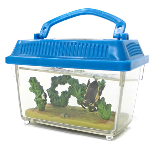 Giant water bug (with insect cage) 「 Fun, breeding duty. No. 3 」 7 ...