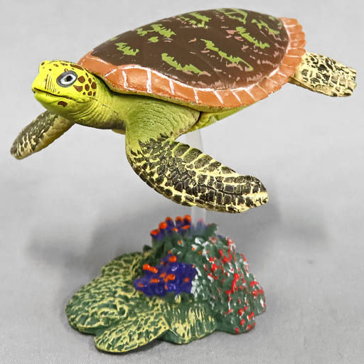 Trading figure Hawksbill' Encyclopedia of Three Dimensional Capsules ...