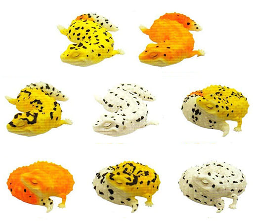 8-Kind Set "Leopard Gekko Night Series" | Toy Hobby | Suruga-ya.com