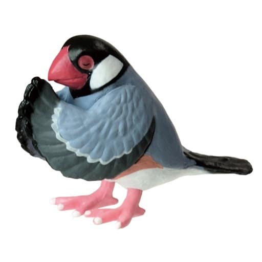 Cherry blossom Java sparrow "掌匠 ~ Tohai ~" | Toy Hobby | Suruga-ya.com