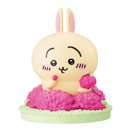 THE RABBIT "CHIIKA Vignette FU Lens" | Toy Hobby | Suruga-ya.com