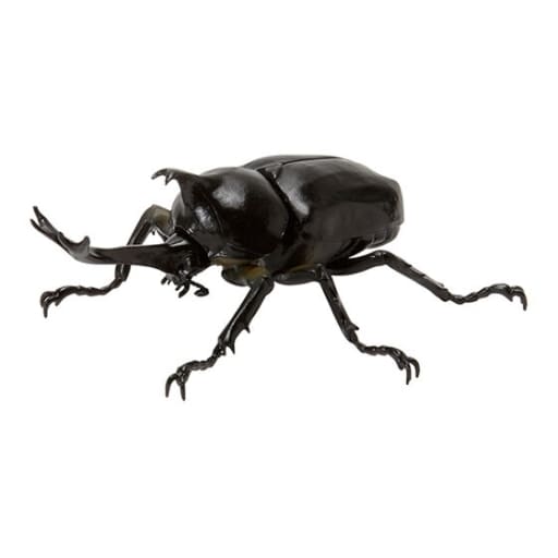 Trading figure Yamato Beetle (walking)' Ikimono Daizukan Mini ...