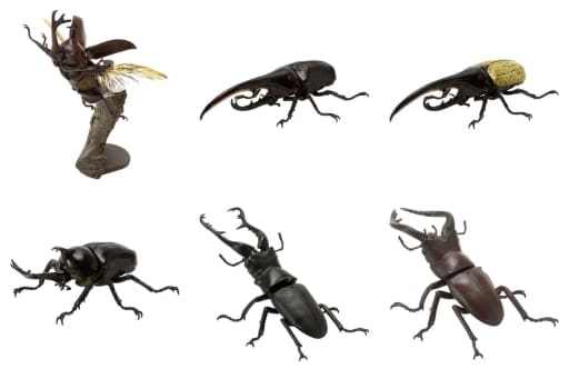 6-Variety Set "Ikimono Daizukan Mini Collection Insect 01" | Toy Hobby ...