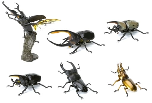 6-type set "Ikimono Daizukan Mini Collection Insect 03" | Toy Hobby ...