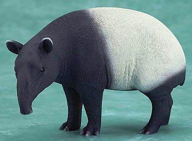 Figure 1/12 Malayan tapir Fat Company version 「 Doki Dobutsu series ...