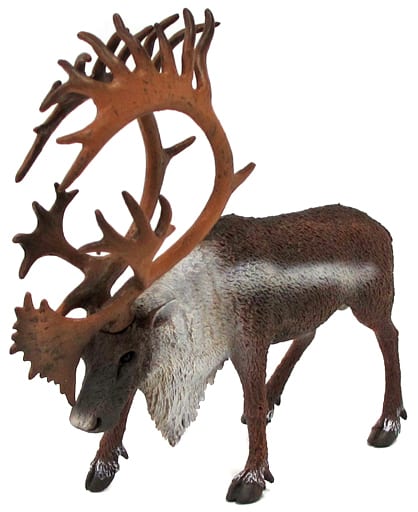 Figure Caribou - Caribou - "Collecta - Collector -" No. 88709 | Toy ...