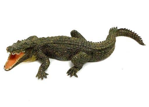 Nile crocodile "WILD ANIMAL KINGDOM" PVC coated finished product | Toy ...