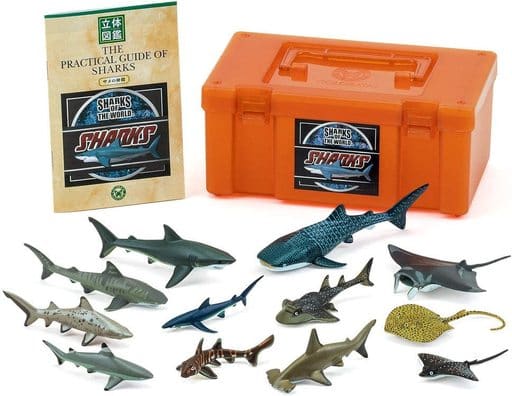 SHARKS Shark Box Shark & Ray (12-body Set) "Three Dimensional Guide ...