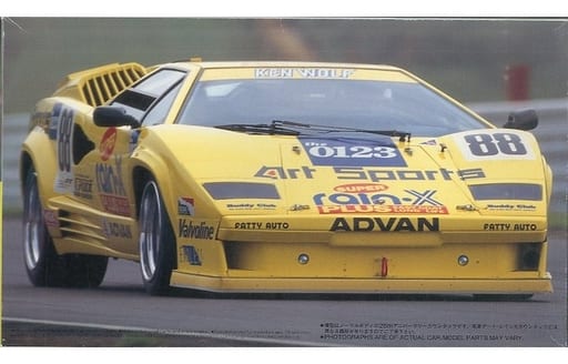 1/24 ART RAIN-X COUNTACH ALL JAPAN DURING CAR CHAMPIOIN SHIP "Touring ...