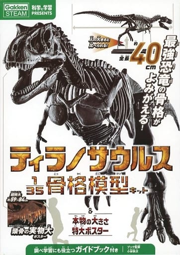 Plastic model 1/35 Tyrannosaurus skeleton model kit & real size extra ...