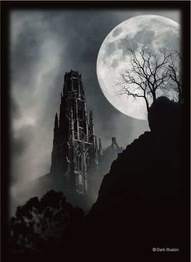 Supply Broccoli Hybrid Sleeve 「 Bad Omen Moon 」 | Toy Hobby | Suruga-ya.com