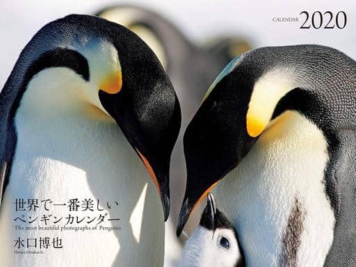 The most beautiful penguin Calendar in the World 2020 Wide | Goods ...
