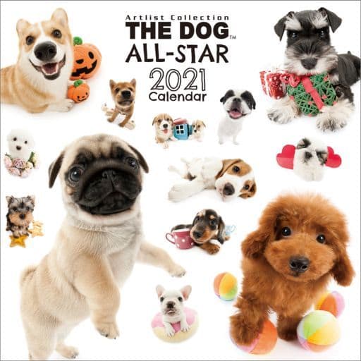 Calendar THE DOG ALL-STAR 2021 Calendar | Goods / Accessories | Suruga ...