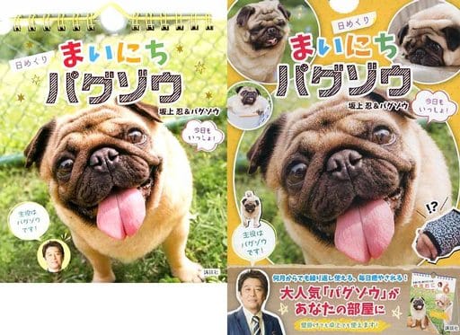 Calendar Sunmekuri Niichi Pugzo Wall Hanging / Desktop Calendar | Goods ...