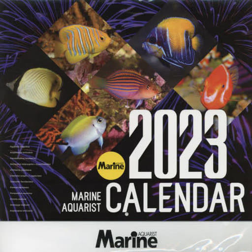 Calendar Marine Aqua List Calendar Fiscal 2023 Calendar | Goods ...