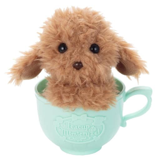 Tea Cup Mimikari Toy Poodle (Cafe Mocha) | Toy Hobby | Suruga-ya.com