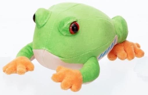 Ecokoehault (Red-eyed tree frog) | Toy Hobby | Suruga-ya.com