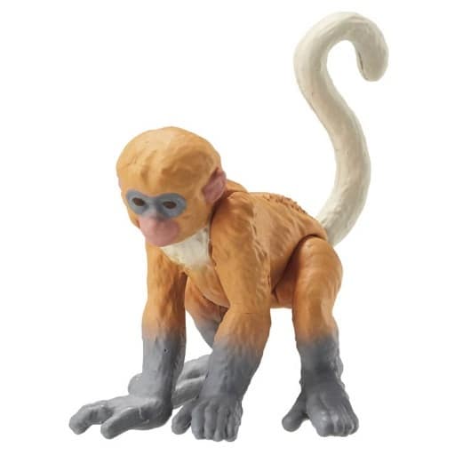 AC-11 proboscis monkey "Ania" | Toy Hobby | Suruga-ya.com