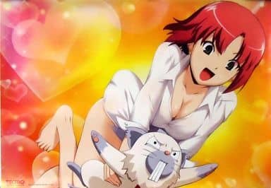 [Single Item] A3 Poster Rio (cat) "PS2 Soft Rakukatsu! Pachislot Declaration 5 Rio Paradise ...