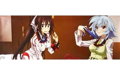 Shinonono Houki & Tatenashi Sarashiki "IS Pos x Poster collection Type ...