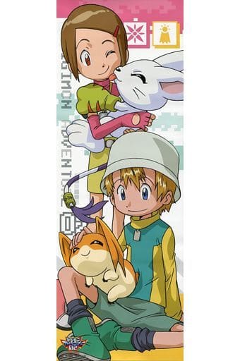 Takeru Takaishi & Hikari Hakami "Digimon Adventure Series Character Pos ...