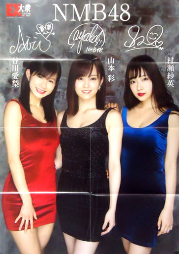 Poster (female) B2 Double-sided Poster (8 fold) Sayaka Yamamoto & Airi Tanigawa & Sae Murase ...
