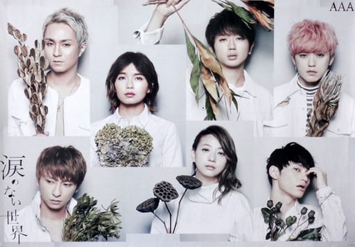Poster (Male) B2 Poster (Image A) AAA "CD-Tearless World" official fan club AAA Party members ...