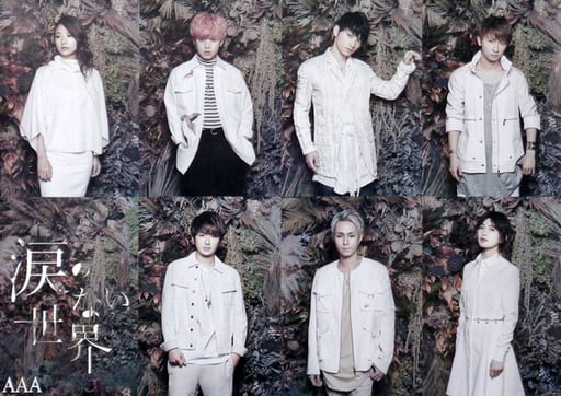 駿河屋 - B2ポスター(絵柄B) AAA 「CD 涙のない世界」 AAA Party・AAA mobile・mu-moショップ会員限定購入特典（男性ポスター）