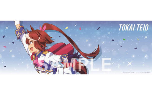 Uma Musume Pretty Derby Trading Poster in Tokai Teio | Goods ...