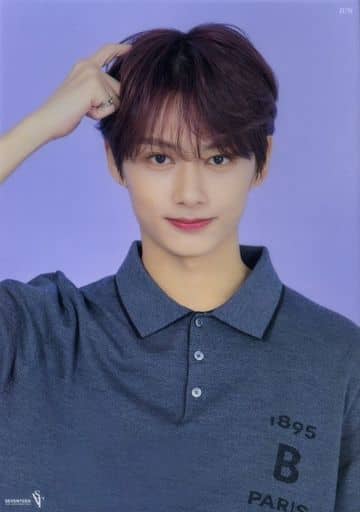 A3 Clear Poster Jun "SEVENTEEN EN 2020 JAPAN DOME TOUR " | Goods ...