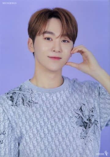 Poster A3 Clear Poster Boo Seung-kwan "SEVENTEEN EN 2020 JAPAN DOME ...