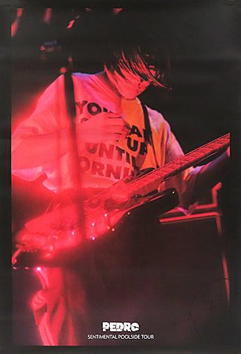 Poster B2 with handwritten signature Poster Ayuni D (Aruni D) "CDs will ...