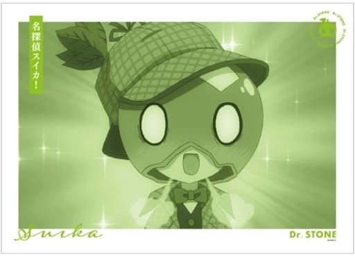 Poster A3 Matte Finish Poster Watermelon "Dr. STONE" | Goods ...