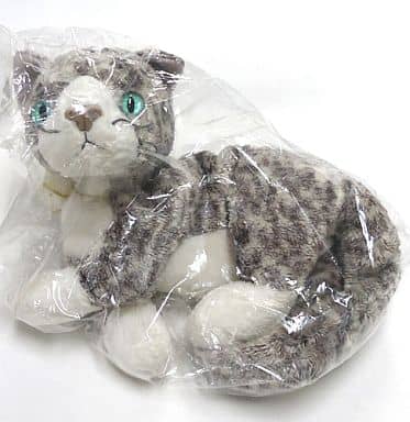 Plush toy Cat (Purr) Plush toy Beanie The Babys | Toy Hobby | Suruga-ya.com