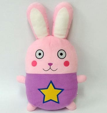 Usami Plush toy "We still don't know the name of the flower we saw that ...