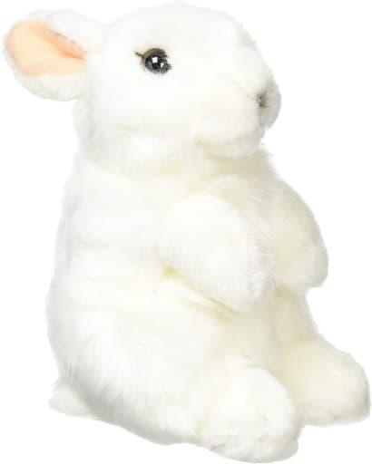 Baby Rabbit Plush toy (S) "WILD LIFE ANIMALS - Wild Life The Animals ...