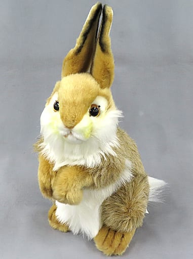 Plush toy Hare Plush toy "Forest Land" | Toy Hobby | Suruga-ya.com