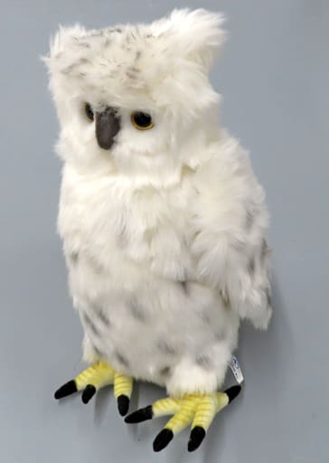 Snowy owl (BH3836) Plush toy | Toy Hobby | Suruga-ya.com
