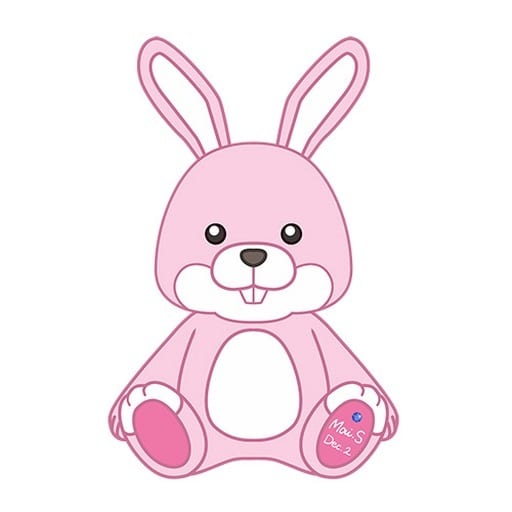 Sakurajima Asaginu Birthday Memorial Rabbit Plush toy "Rascal Does Not ...