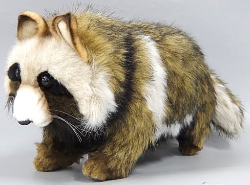 Plush toy RACCON DOG - Tanuki 46 - Plush toy | Toy Hobby | Suruga-ya.com