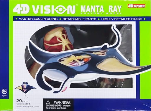 Puzzle Manta Anatomy Model 「 4D VISION Animal Anatomy 」 Solid Puzzle No ...