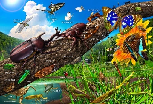 Puzzle Let's Remember Japanese Insects! Learn Jigsaw Puzzle 100 Pieces ...