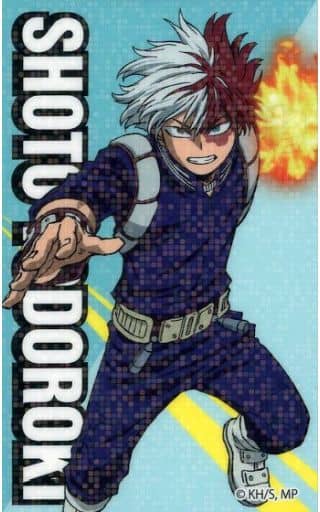 Shoto Todoroki "Wafer Chocolate MY HERO ACADEMIA 2 nd Batch" | Goods ...
