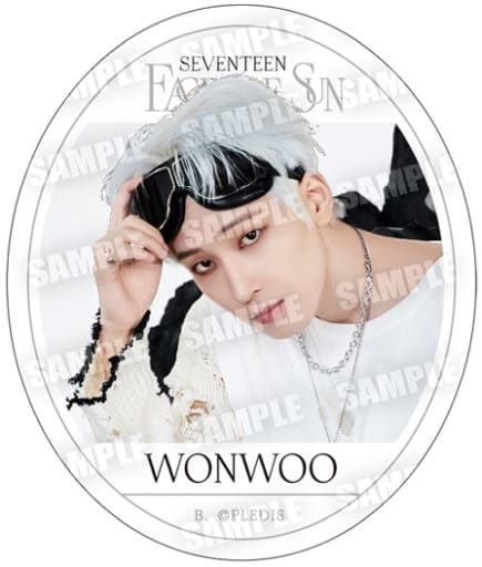 Food toy stickers and stickers 6. "SVT GUMMI From PLEDIS ENTERTAINMENT ...