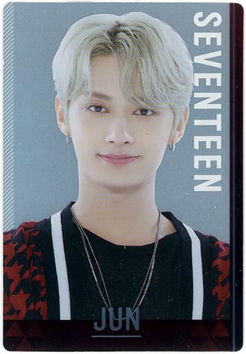 Jun Normal Seal "SVT Twin Wafers From Pledis Entertainment Seventeen ...