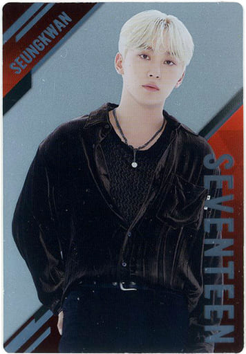 Food toy stickers and stickers Boo Seung-kwan Rare Seal "SVT Twin ...