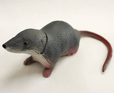 Food toy trading figure 124 Japanese water shrew 「 Chocolate Egg The 5 ...