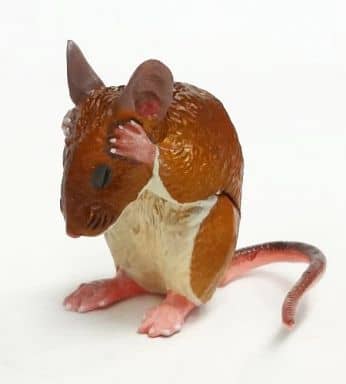 244 Japanese field mouse 「 Choco Q Japan's 11 th Animal 」 | Goods ...