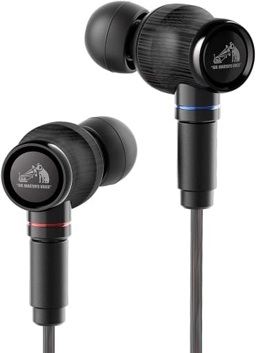 Headphone JVC Inner Ear Headphones WOOD [HA-FW1500] | Electric ...