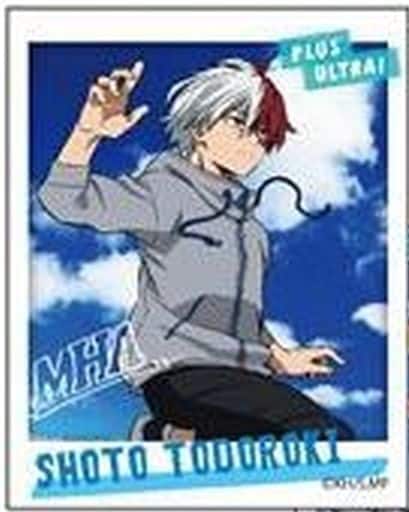 Shoto Todoroki (jump / whole body) "MY HERO ACADEMIA Photo Style Metal ...